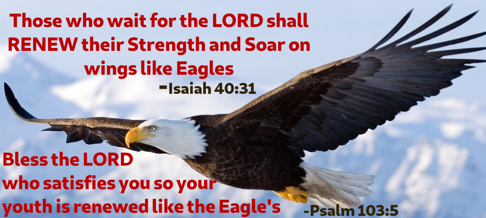 About Us | Eagles Treasures in Heaven